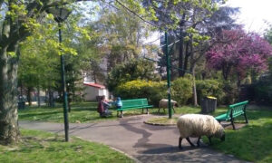 Animation - Association Espaces