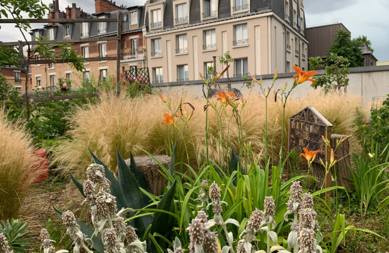 Jardins partagés - Association Espaces