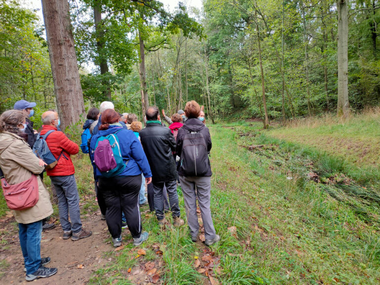 Animation - Association Espaces