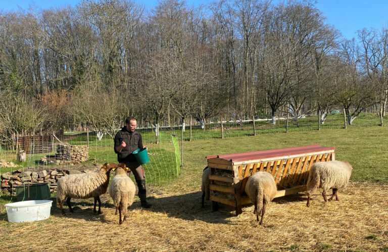 Animation - Association Espaces