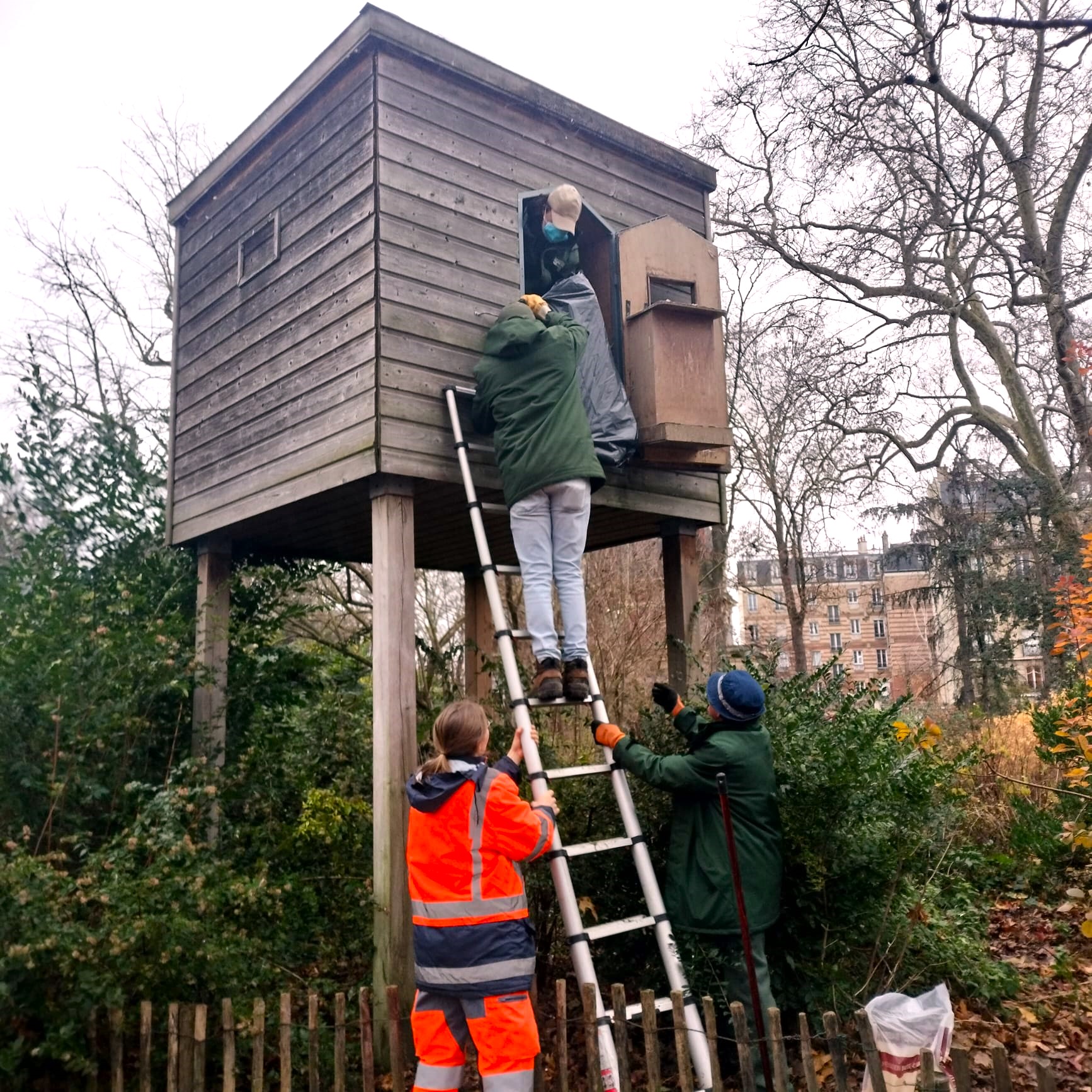 Un pigeonnier dans ma ville, pour quoi faire ? - Association Espaces